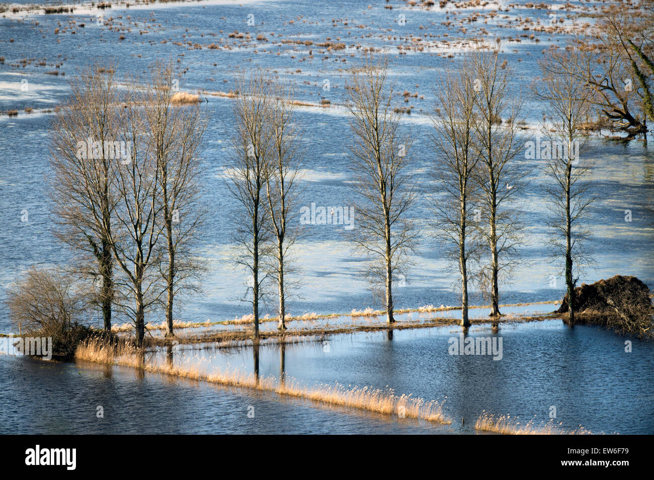 Improving weather has given some parts of the Somerset Levels the ...