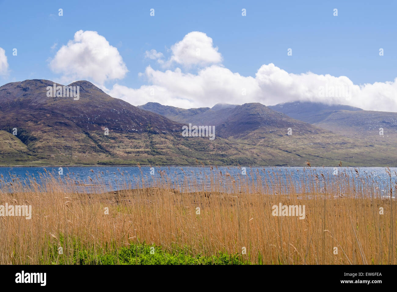 Keal hi-res stock photography and images - Alamy