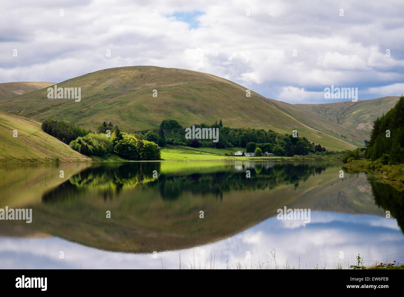 Hills reflected in tranquil waters of Loch of the Lowes in Yarrow ...