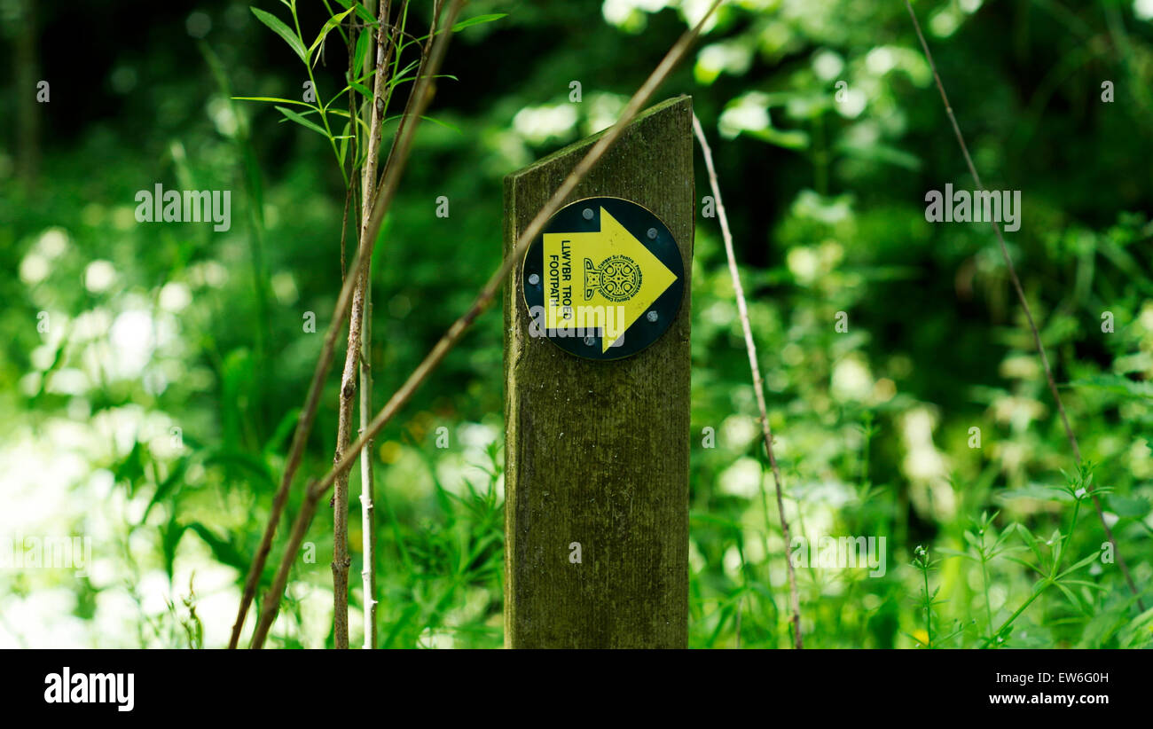 Rural Public Footpath Sign Post Set By A Woody Stream Ecosystem Stock ...