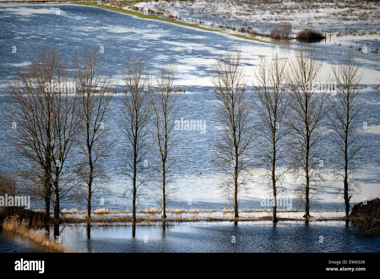 Improving weather has given some parts of the Somerset Levels the ...