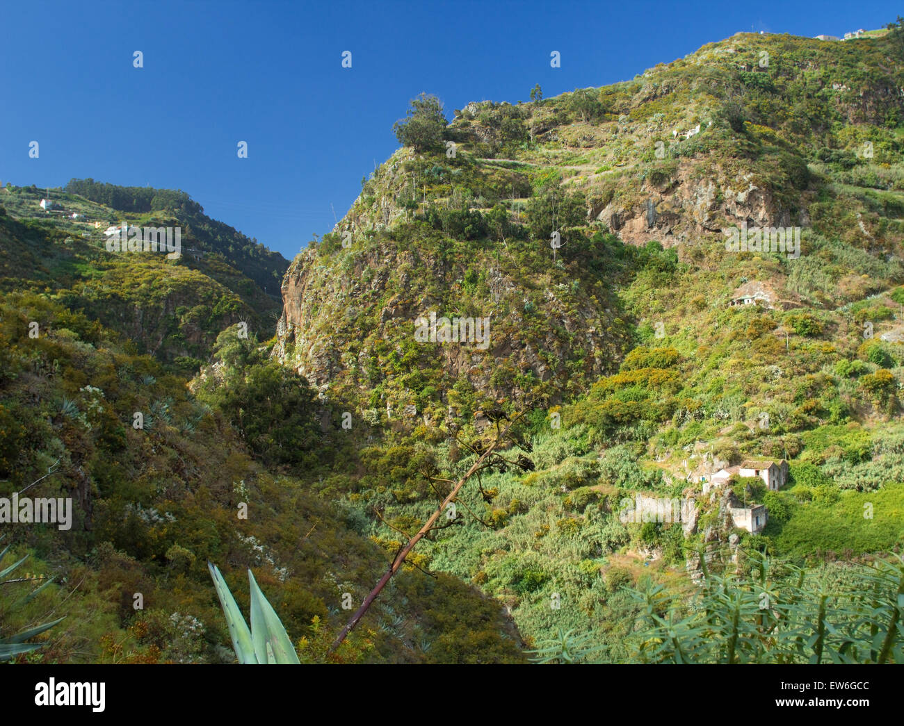 Gran Canaria, steep ravine Barranco de Azuaje between Moya and Firgas ...