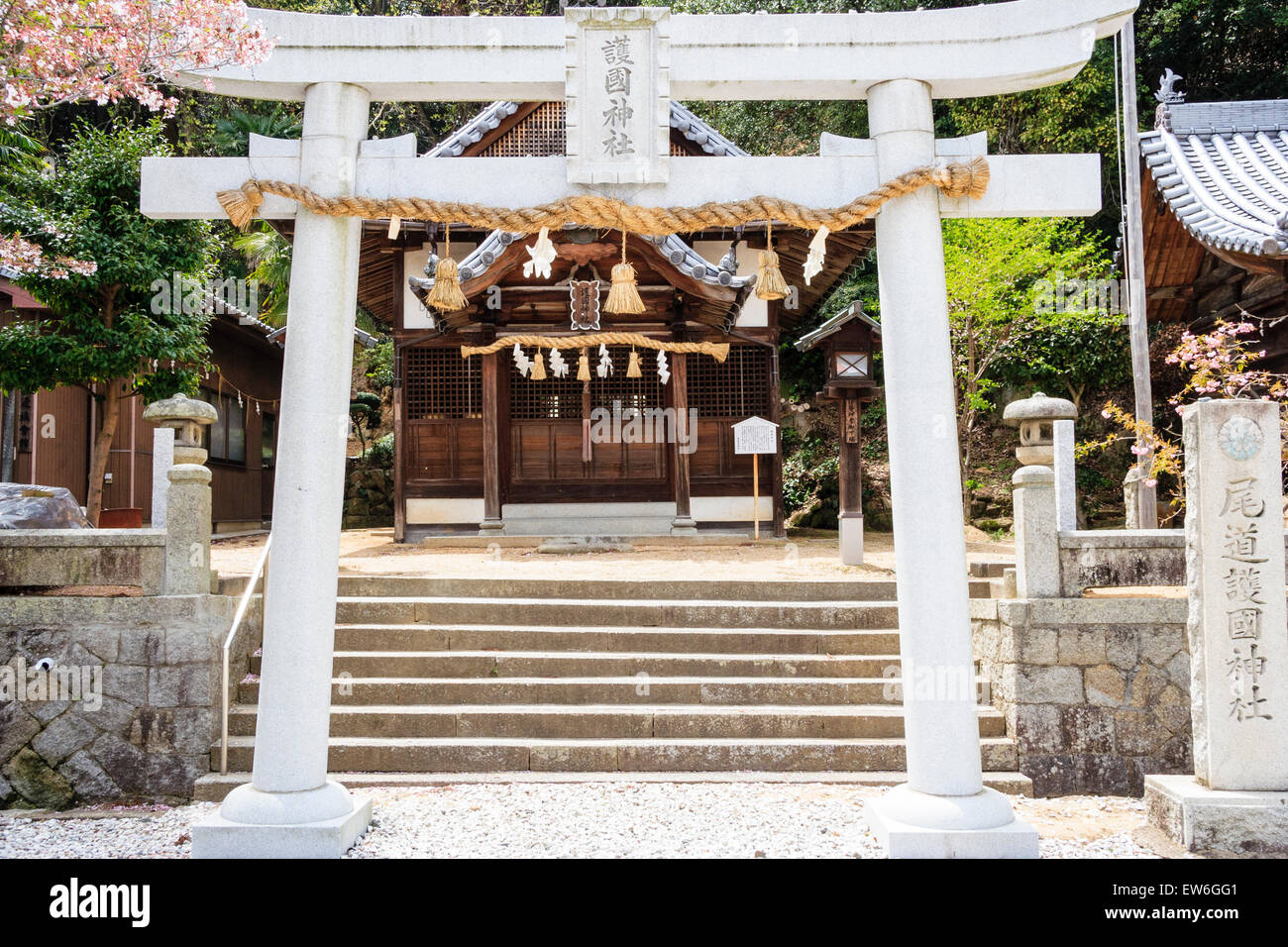 Japan, Onomichi, Saikokuji temple. Path under stone torii gate with shimenawa stung across ...