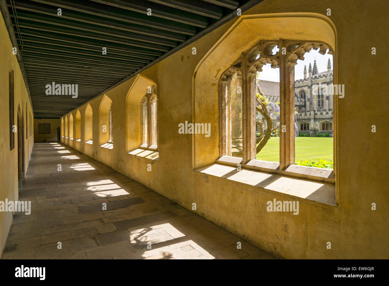 Oxford University Library Interior High Resolution Stock Photography ...