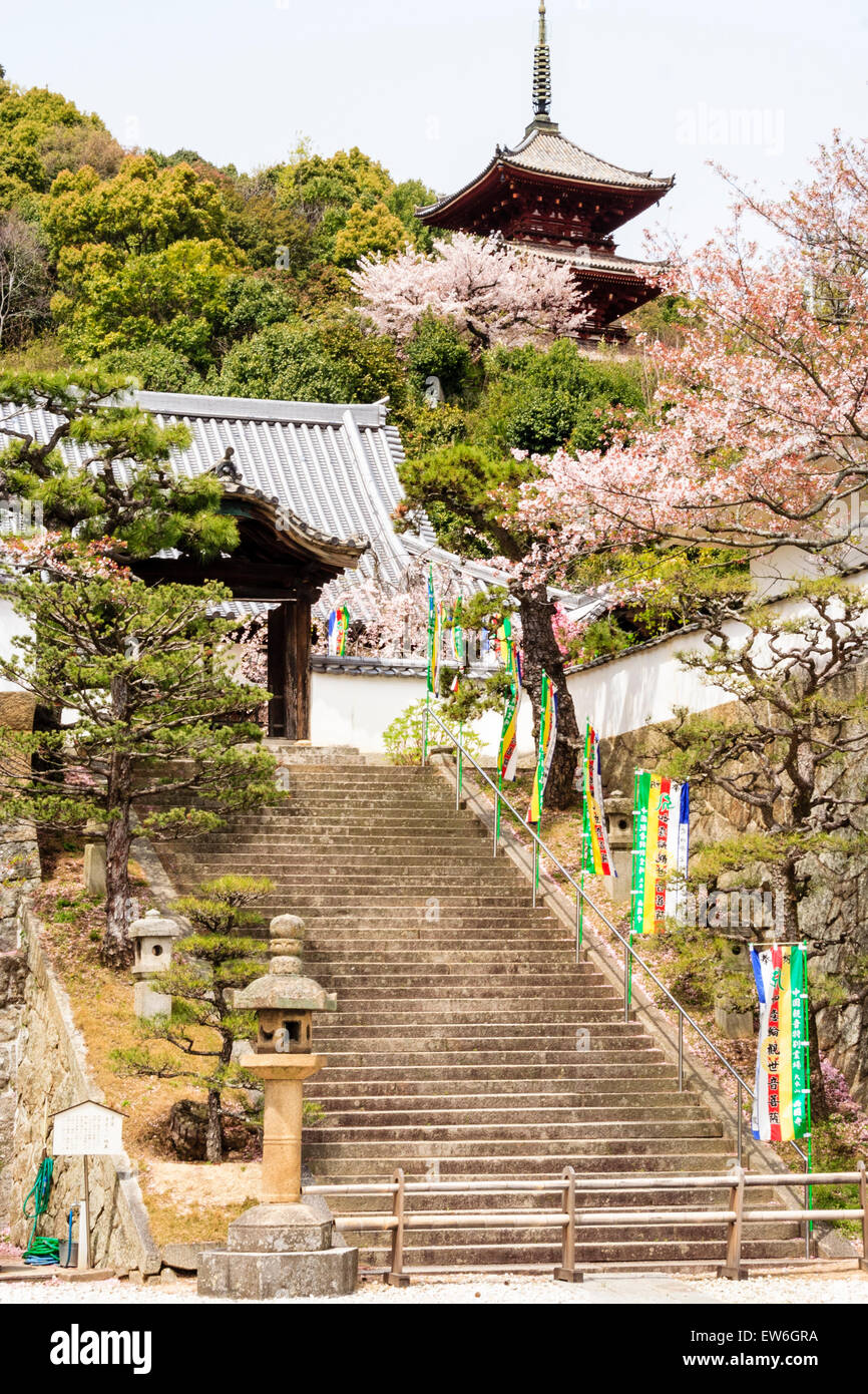 Japan, Onomichi, Saikokuji temple. Stone steps, with stone lanterns and ...