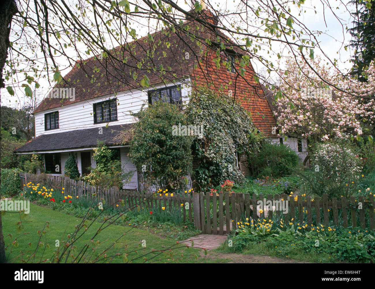 Cottage garden england flowers hi-res stock photography and images - Alamy