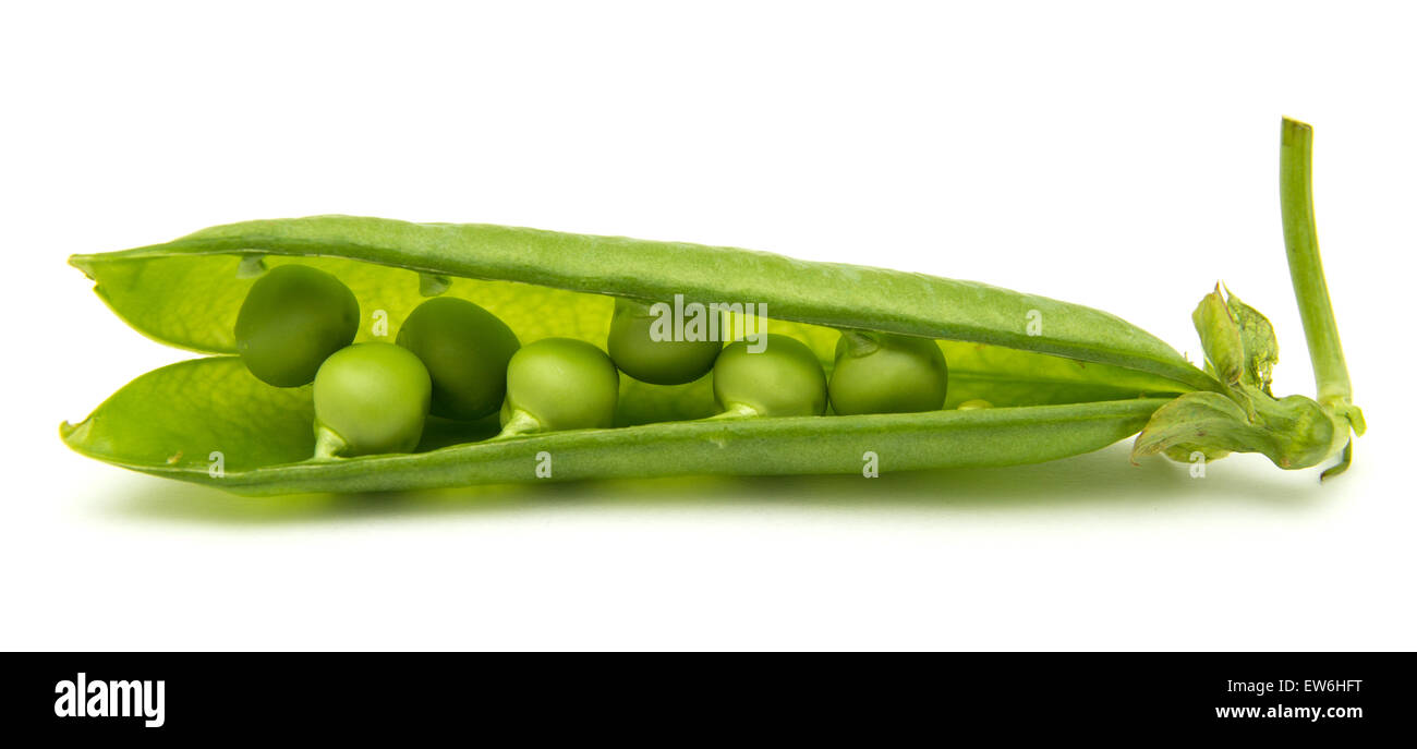 green pea pod macro isolated on white Stock Photo - Alamy
