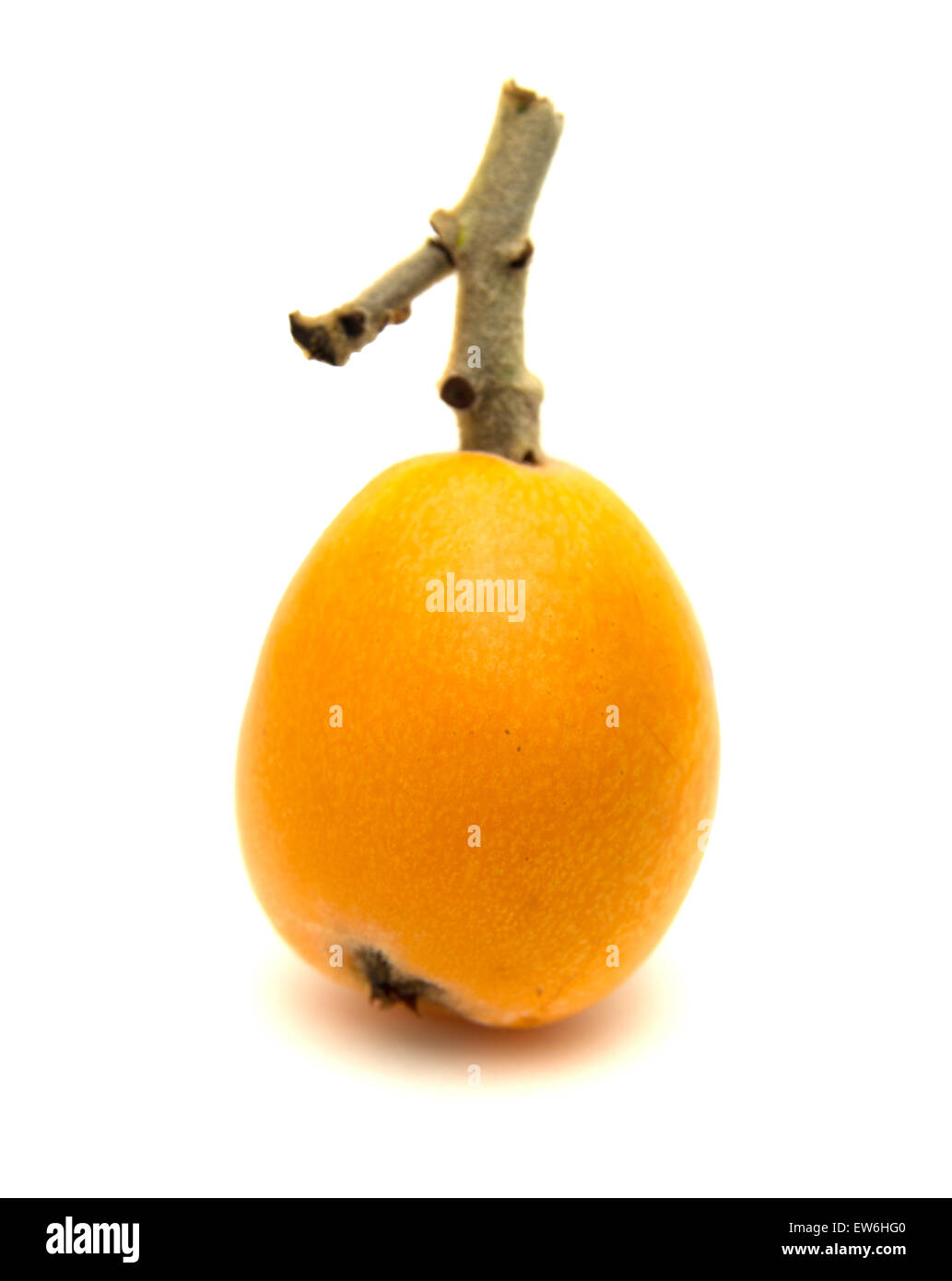 Nispero, Japanese medlar fruit isolated on white background Stock Photo ...