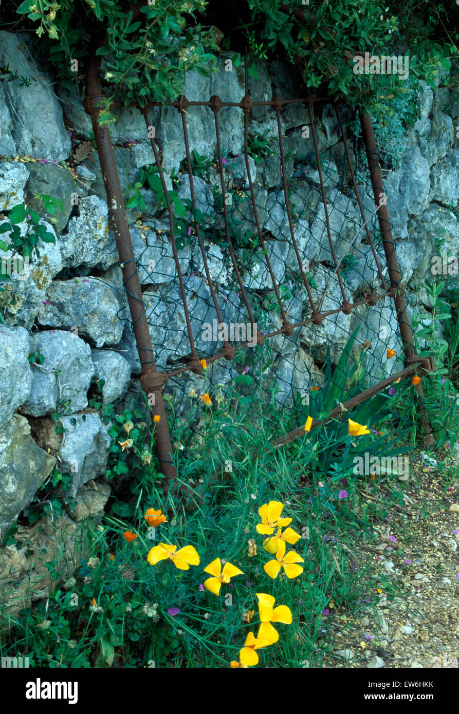 Old bed frame hi-res stock photography and images - Alamy