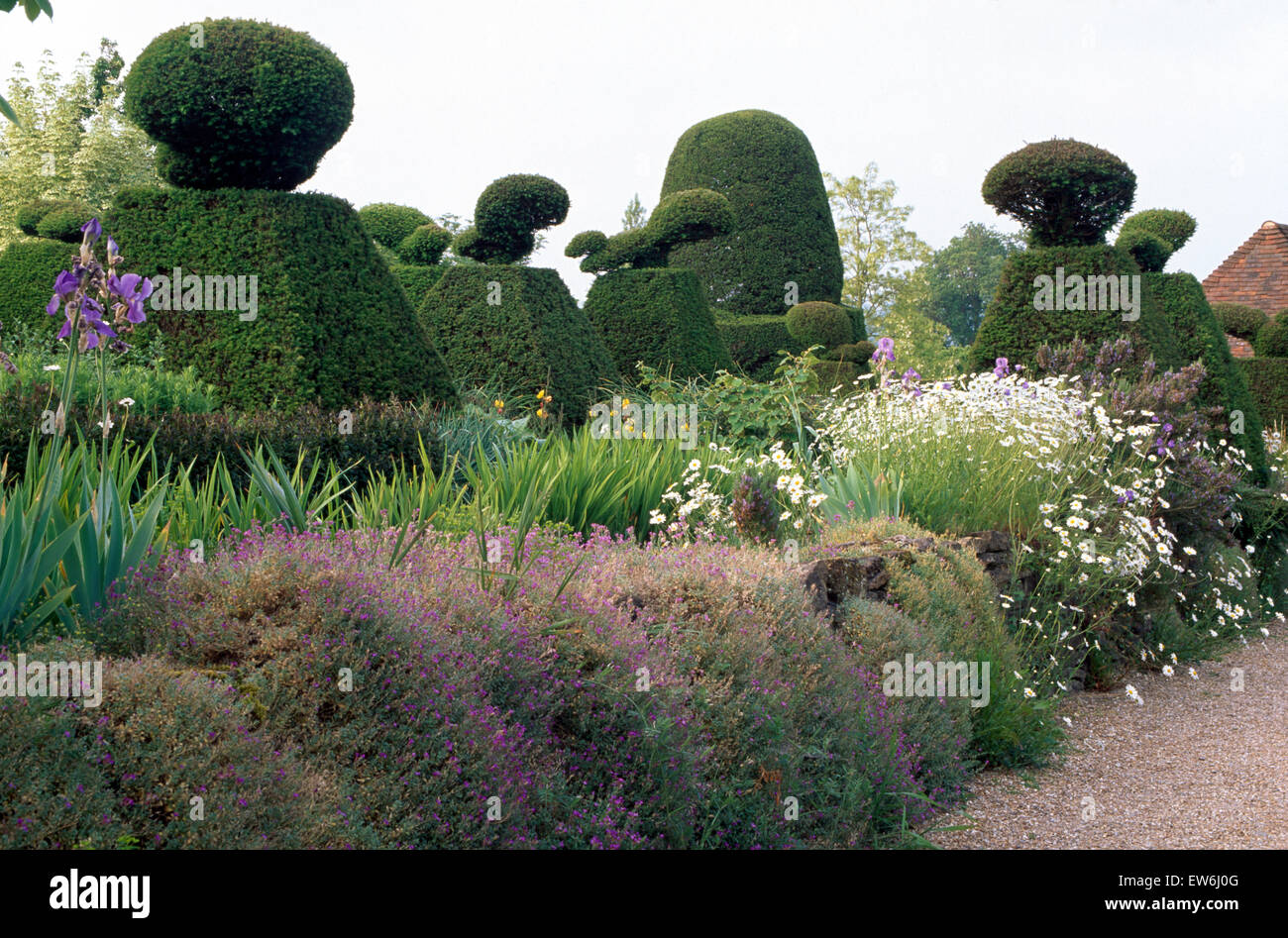 Topiary in a large country garden Stock Photo - Alamy