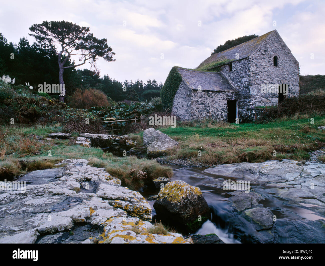 Disused C19th watermill (National Trust) beside the Cafnan stream ...