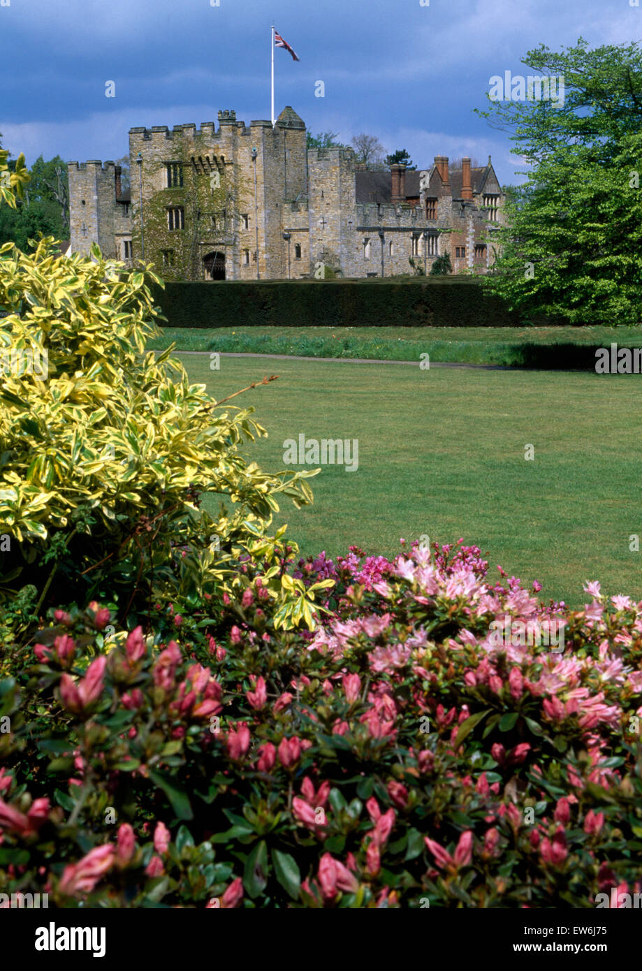 Pink rhododendrons and variegated euonymus in border beside large lawn ...