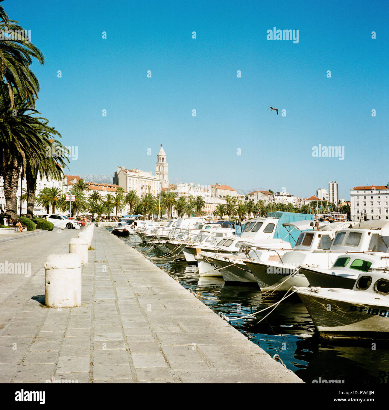 Split structure hi-res stock photography and images - Alamy