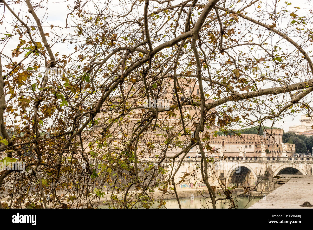 Historical buildings and architecture details in Rome, Italy: trees and ...
