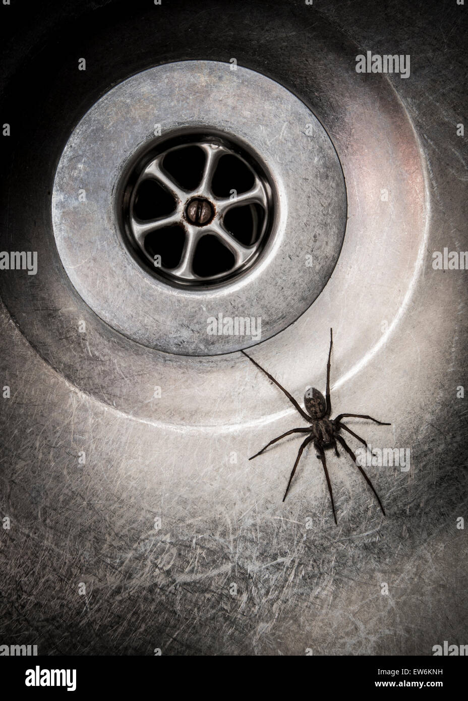 Drain spider hi-res stock photography and images - Alamy