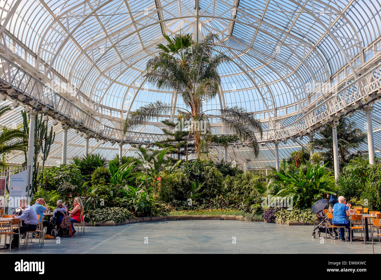 Inside of the Conservatory of the Peoples Palace museum, Glasgow ...