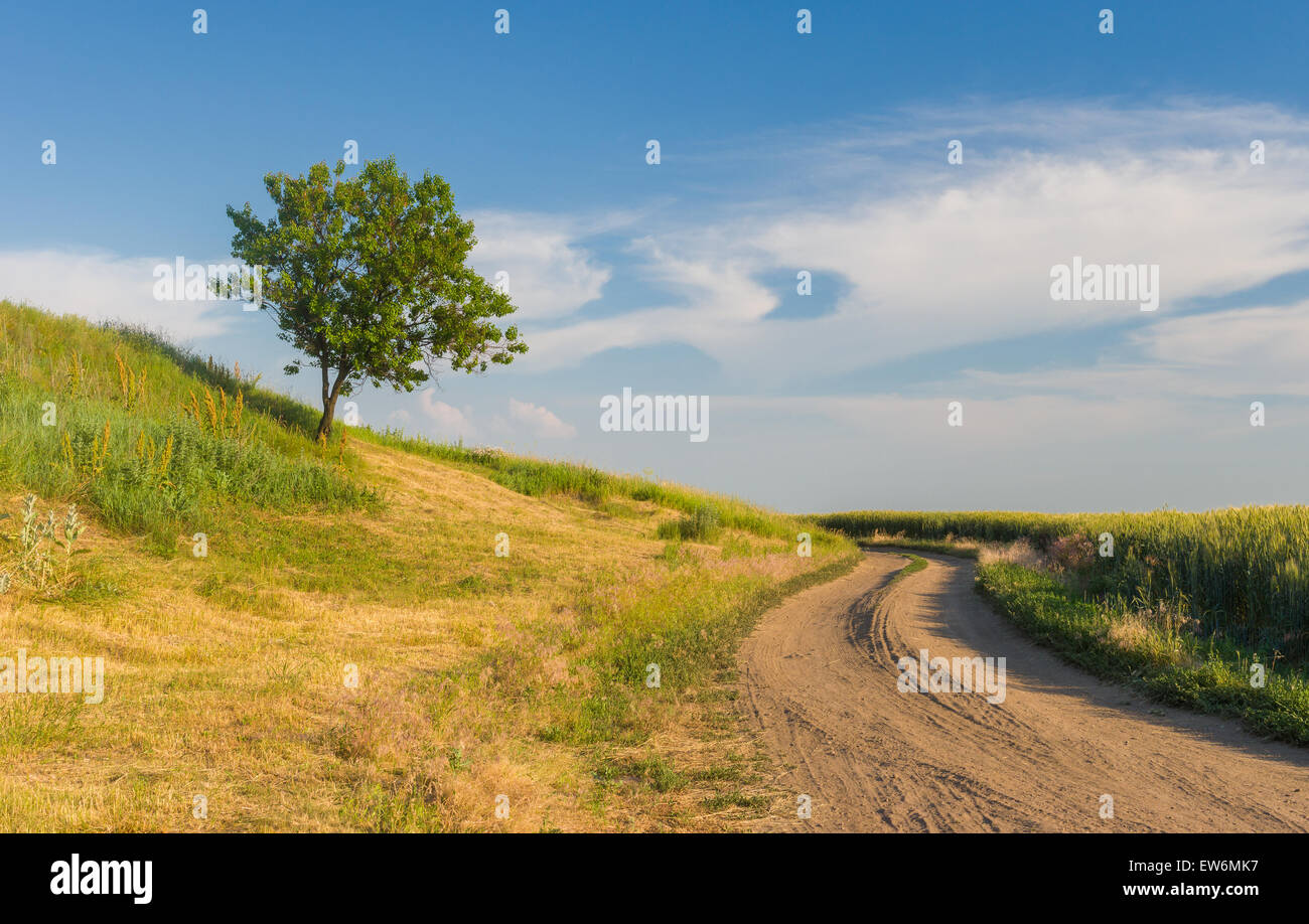 Ukrainian rural landscape with lonely apricot tree on a hill and ...