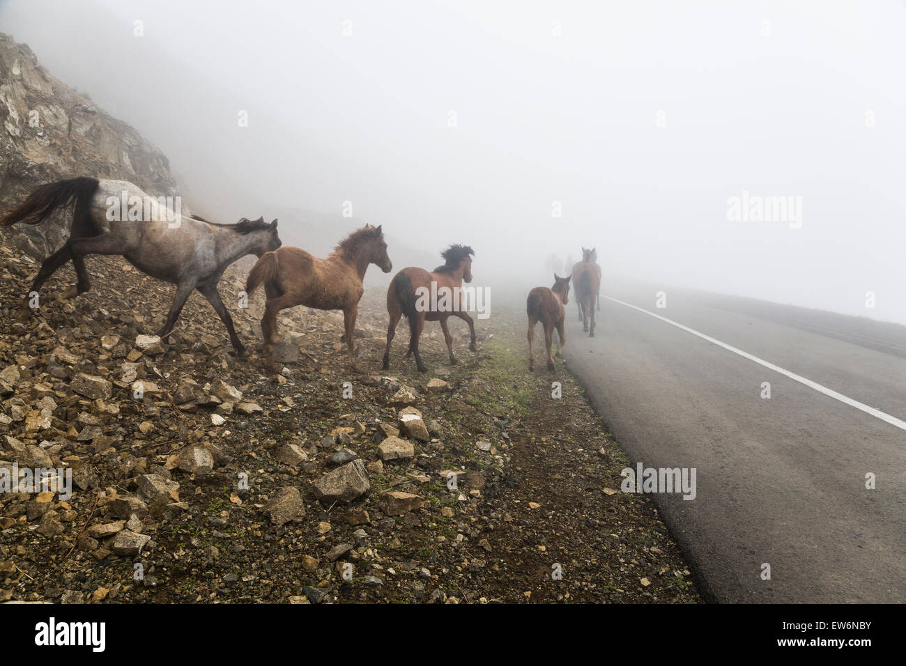 Favorat hi-res stock photography and images - Alamy