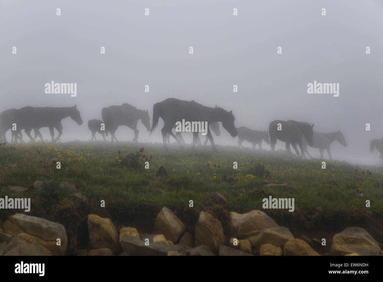 Favorat hi-res stock photography and images - Alamy