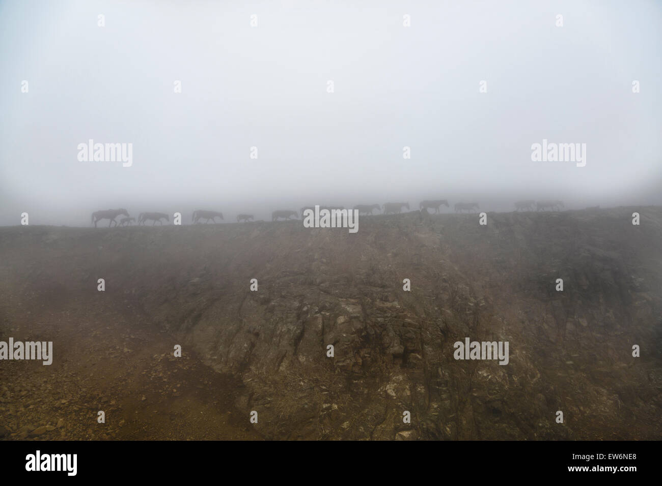 Favorat hi-res stock photography and images - Alamy