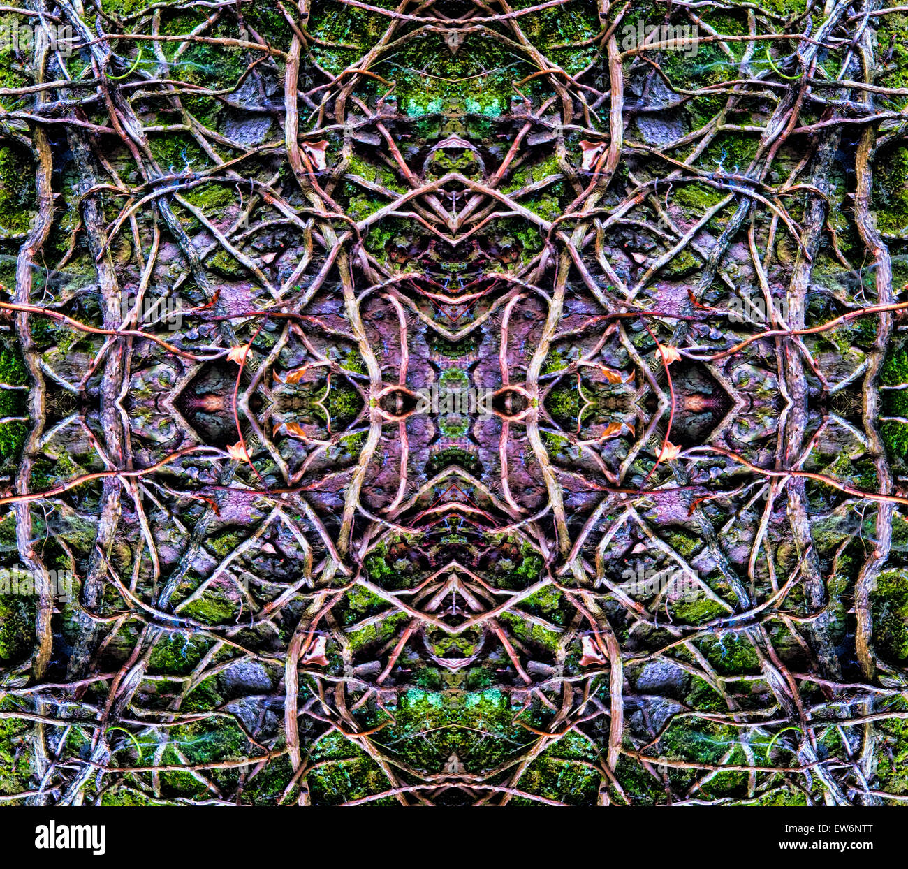 Rotational Symmetry In Famous Art