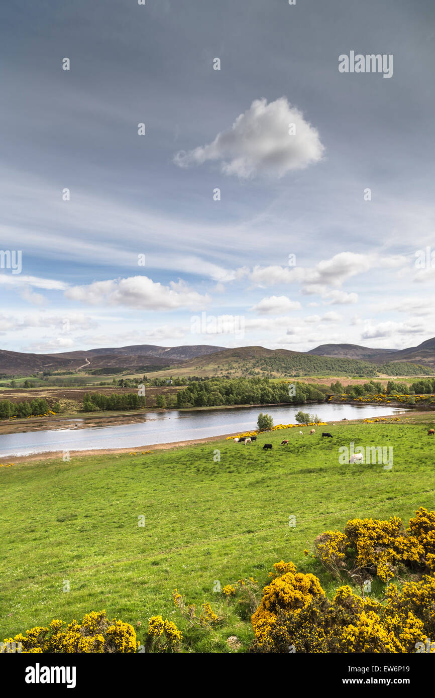 Loch Mhor in the Scottish Highlands Stock Photo - Alamy
