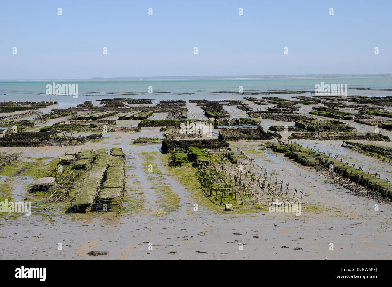 Britanny oyster beds hi-res stock photography and images - Alamy