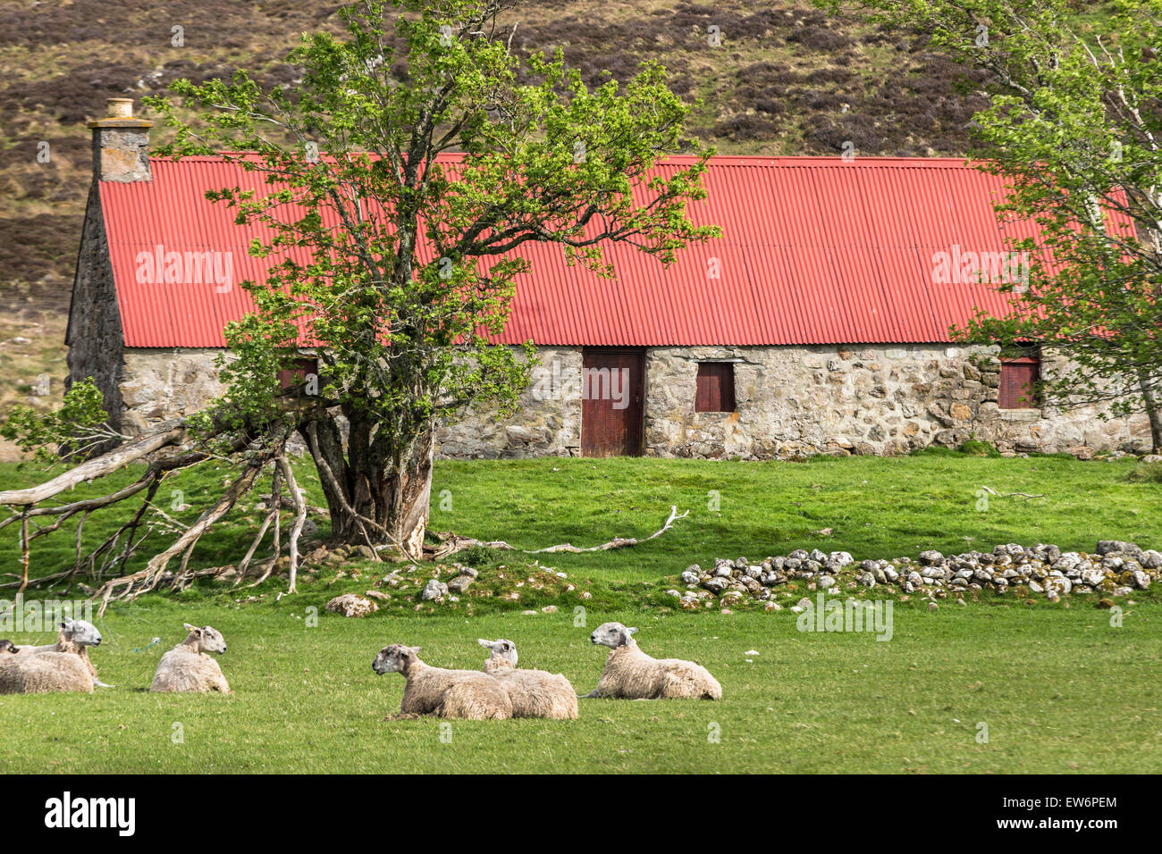 Red roofed bothy in Glen Mhor in the Scottish Highlands Stock Photo - Alamy