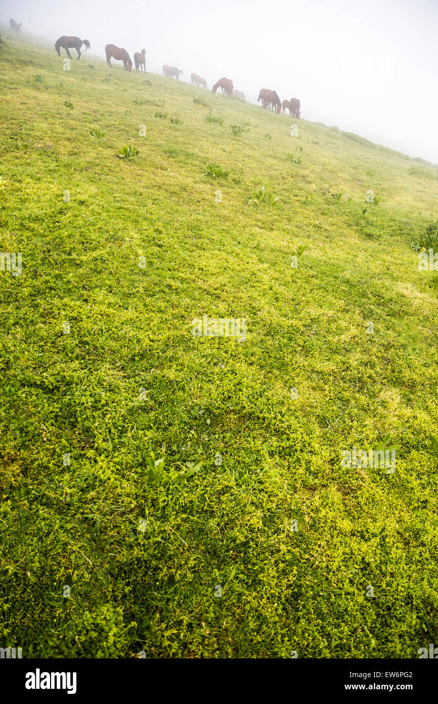 Caliginous hi-res stock photography and images - Alamy