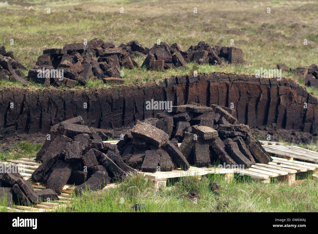 Moor moorland peat bog marsh hi-res stock photography and images - Alamy