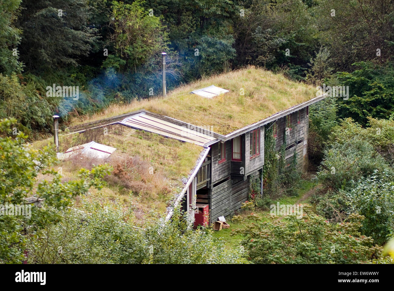 Cat machynlleth hi-res stock photography and images - Alamy