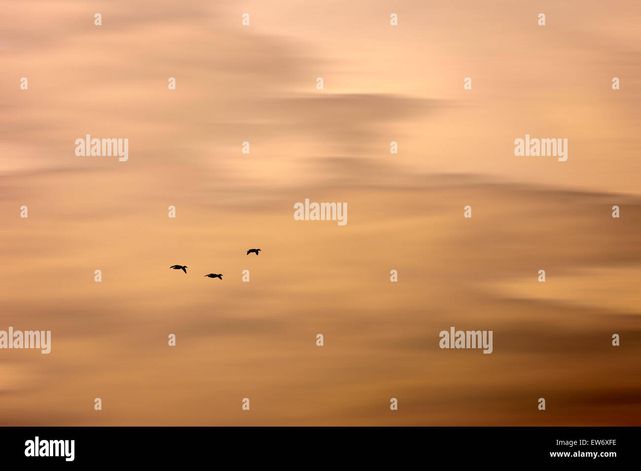 Fade sky hi-res stock photography and images - Alamy