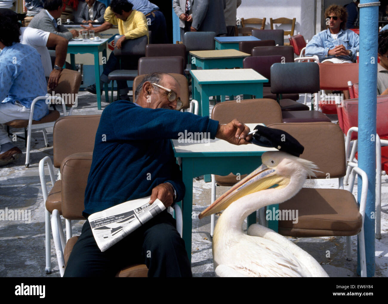 Man with a pelican at an outside cafe FOR EDITORIAL USE ONLY Stock ...