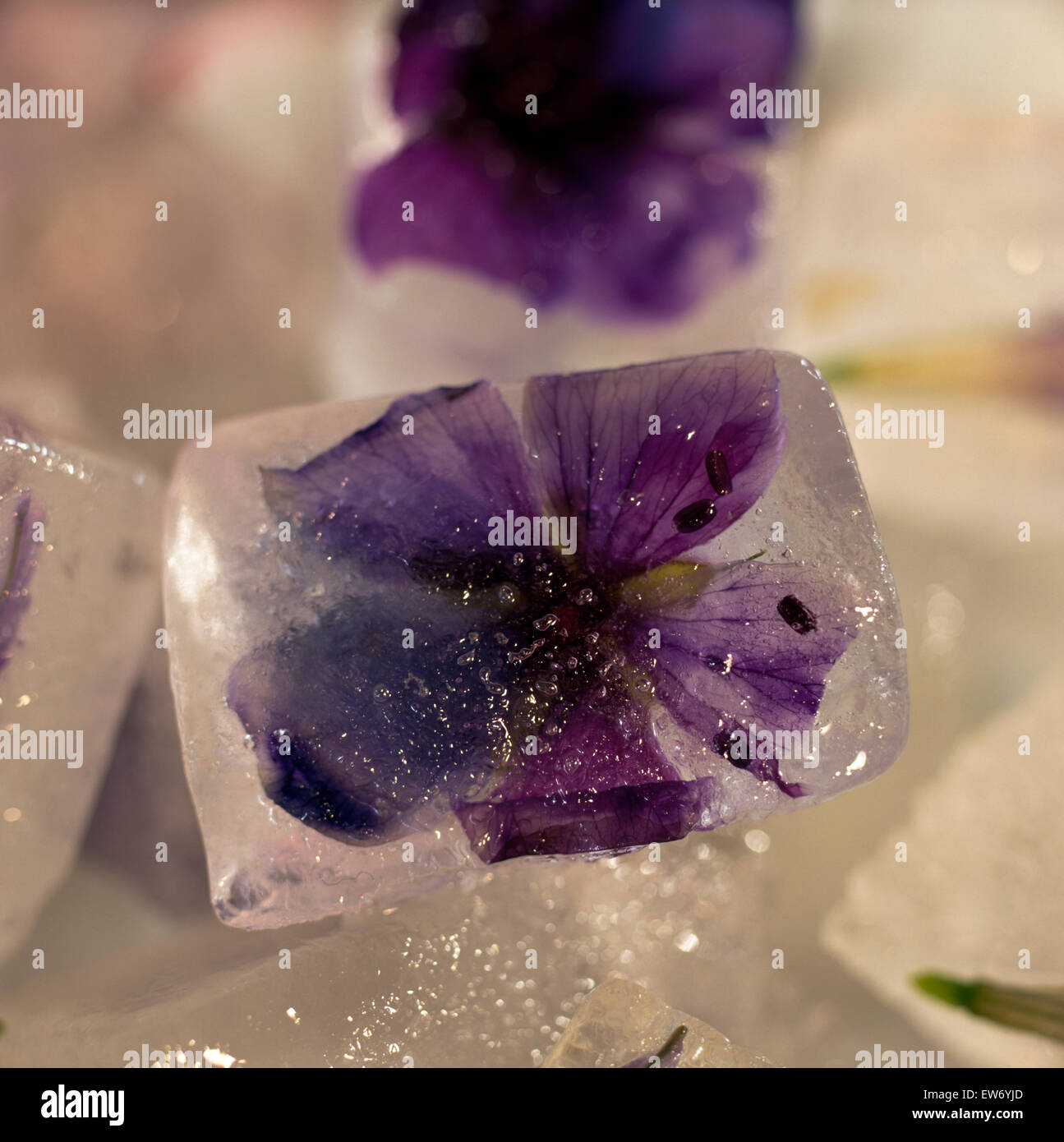 Purple cubes hi-res stock photography and images - Alamy