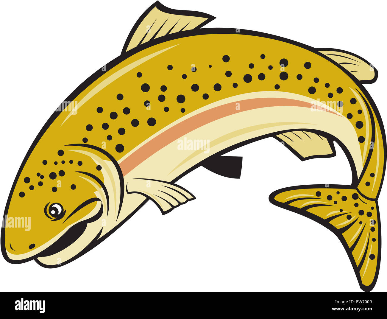 Illustration of a rainbow trout fish jumping viewed from the side set ...