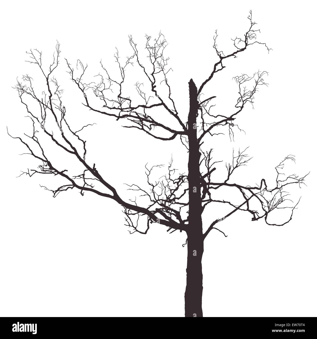 Withered tree Stock Vector Images - Alamy