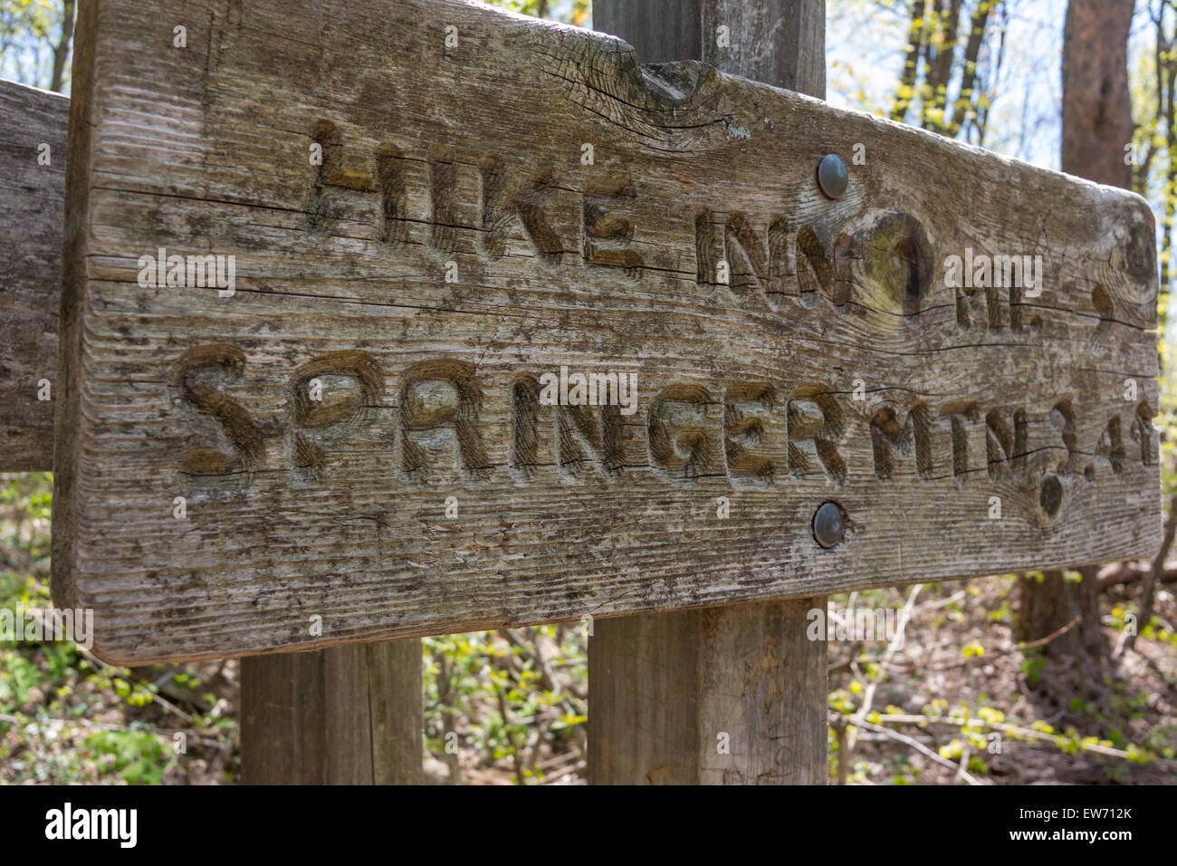 Wooden sign pointing to the Hike Inn and Springer Mountain along the ...