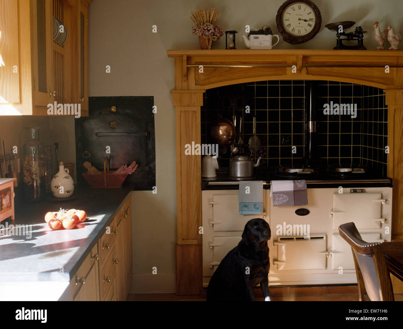 Black Labrador dog sitting beside cream Aga oven in country kitchen ...