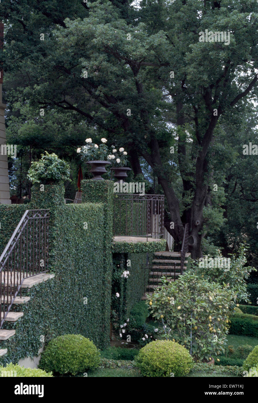Clipped hedge formal hi-res stock photography and images - Alamy