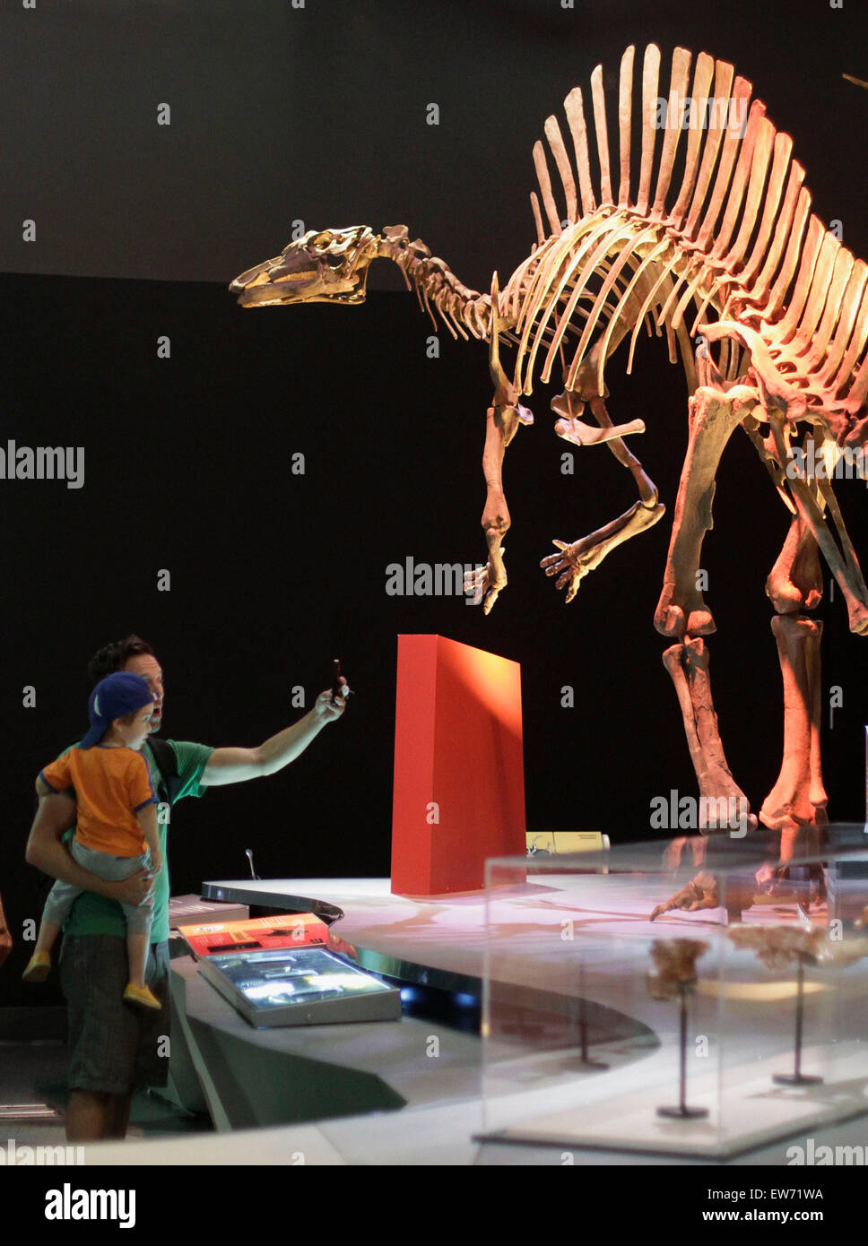 Vancouver, Canada. 18th June, 2015. People visit the dinosaurs ...