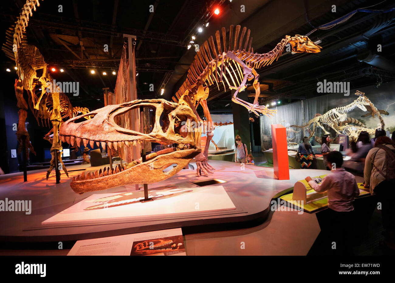 Vancouver, Canada. 18th June, 2015. People visit the dinosaurs ...