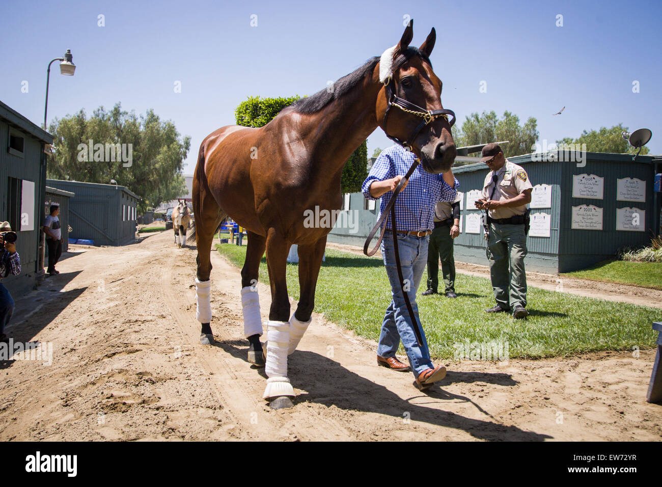 Triple winner hi-res stock photography and images - Alamy