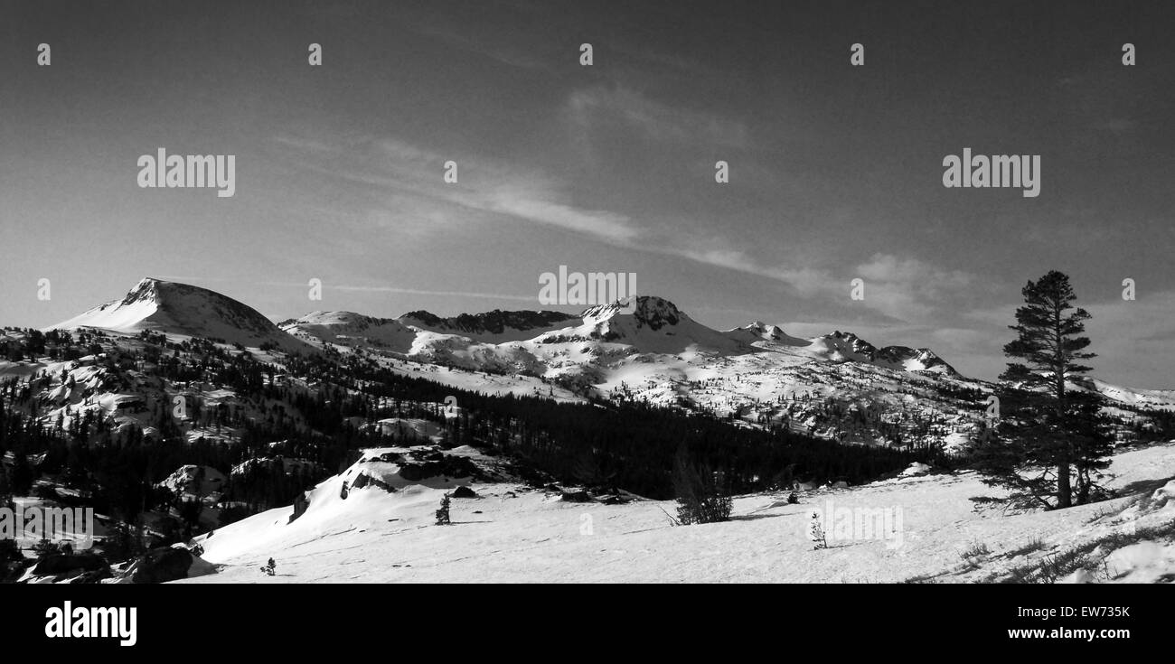 Carson pass hi-res stock photography and images - Alamy