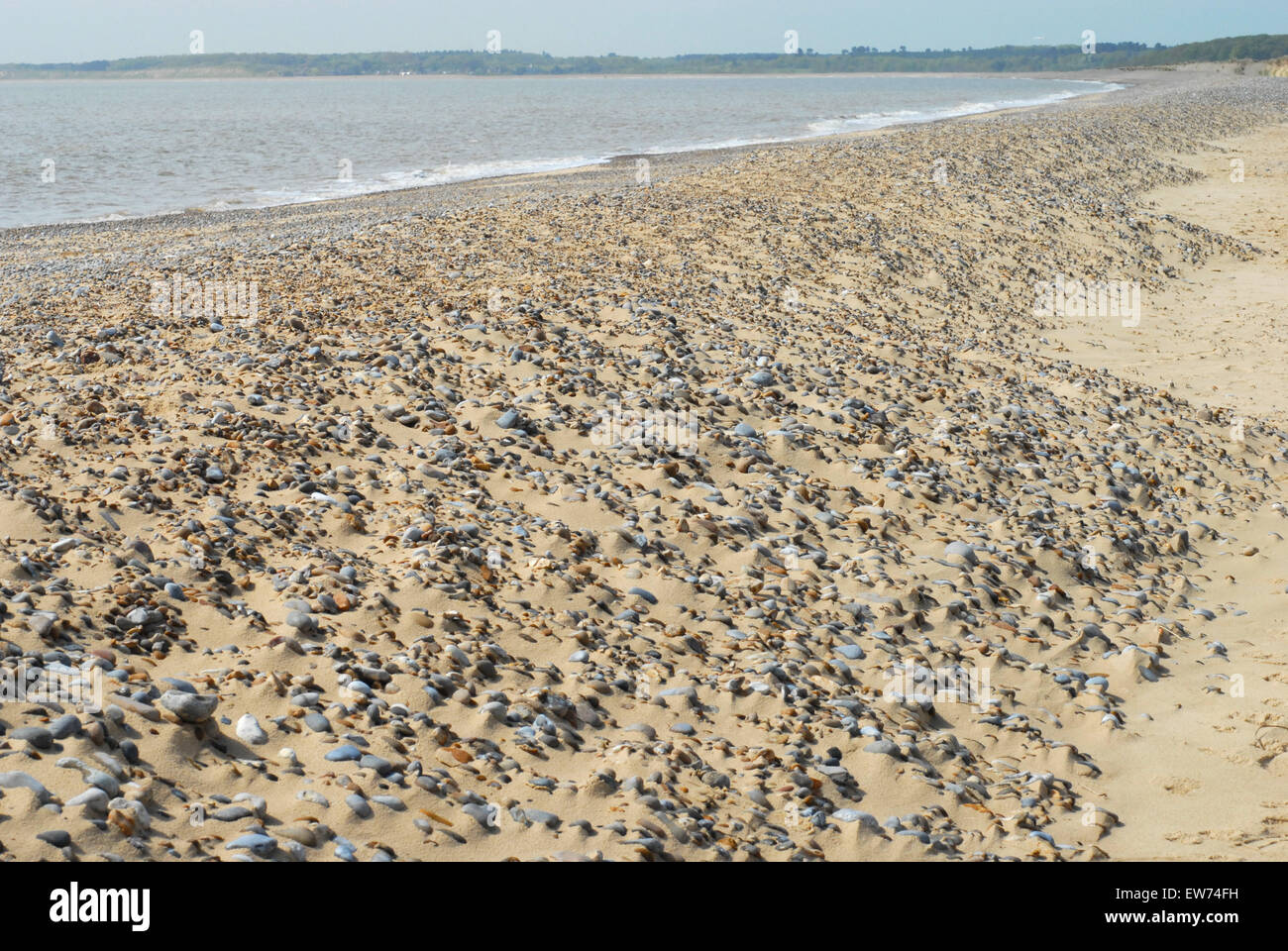 beach with pebbles Stock Photo - Alamy
