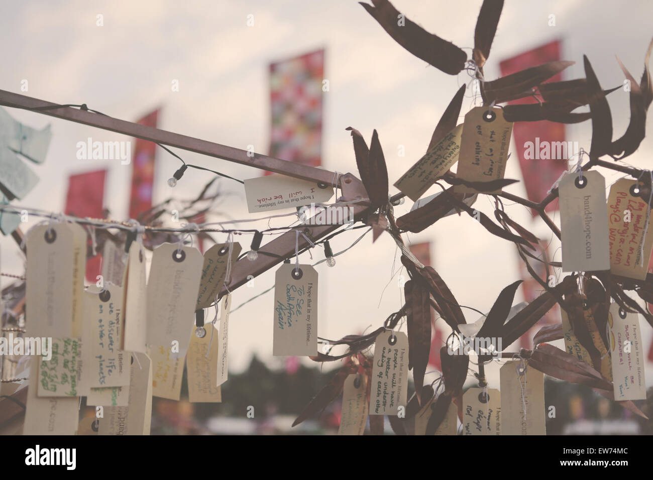 Hope tree hi-res stock photography and images - Alamy