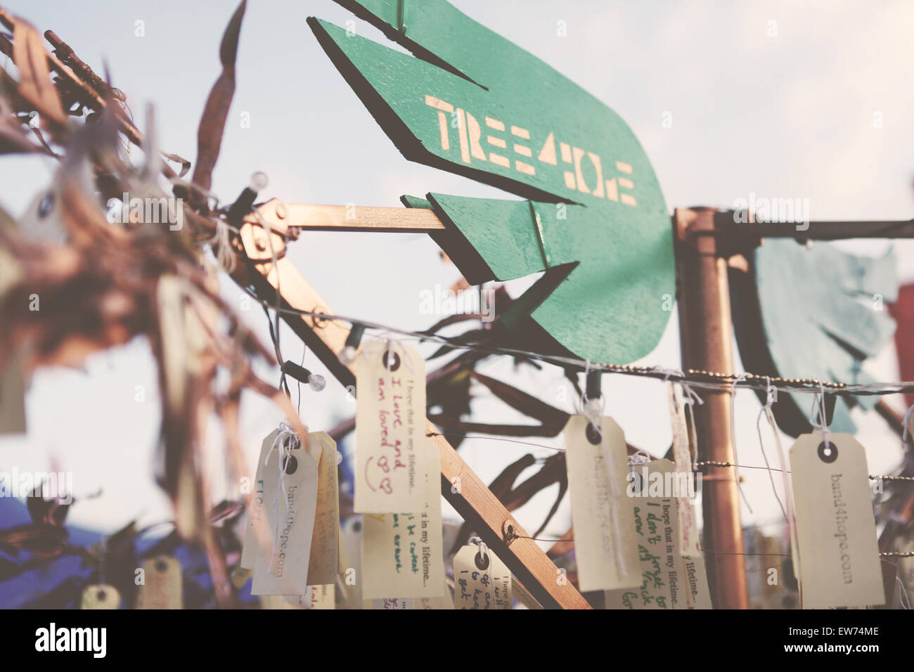 Tree of Hope Stock Photo - Alamy