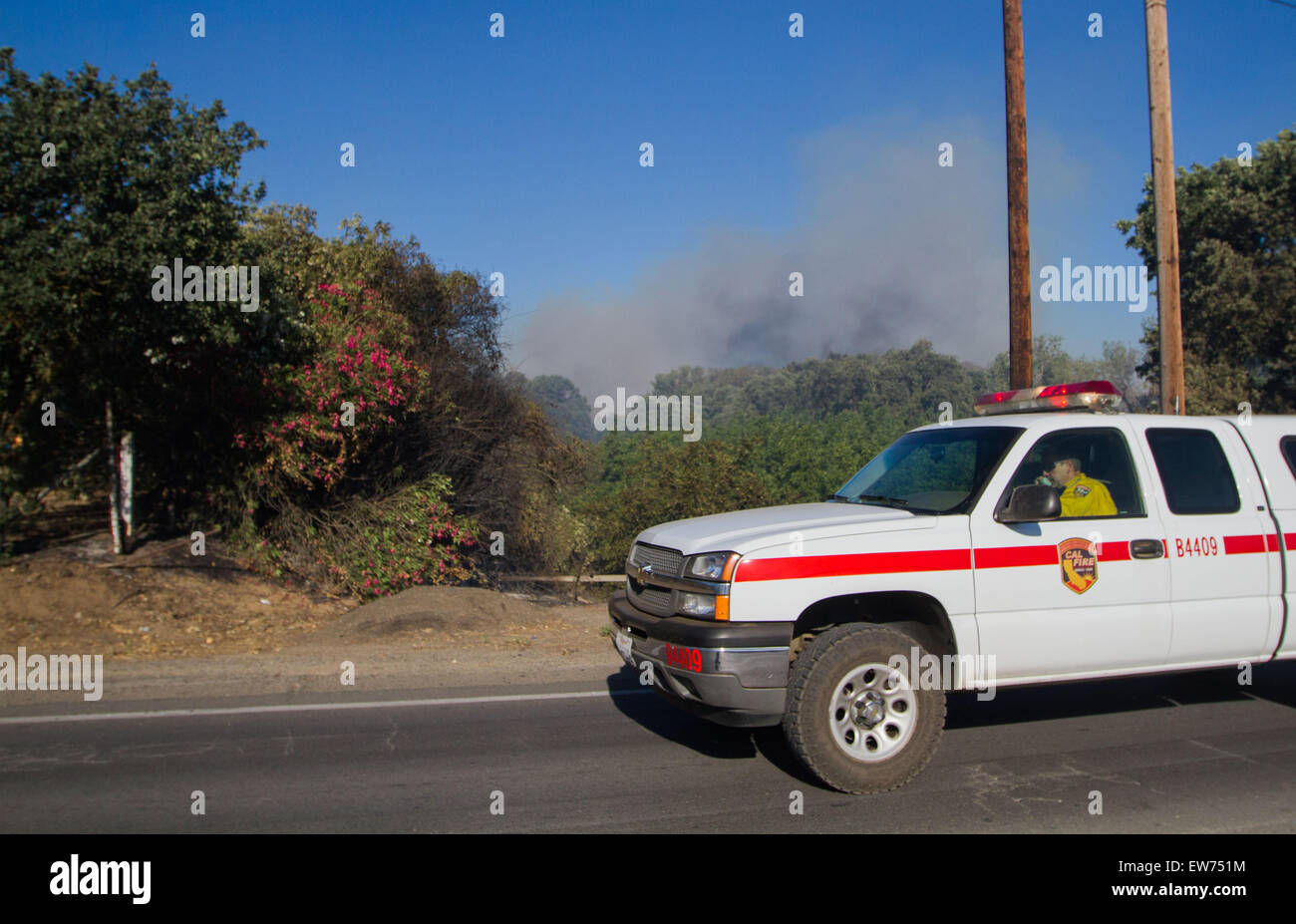 Fire battalion chief hi-res stock photography and images - Alamy