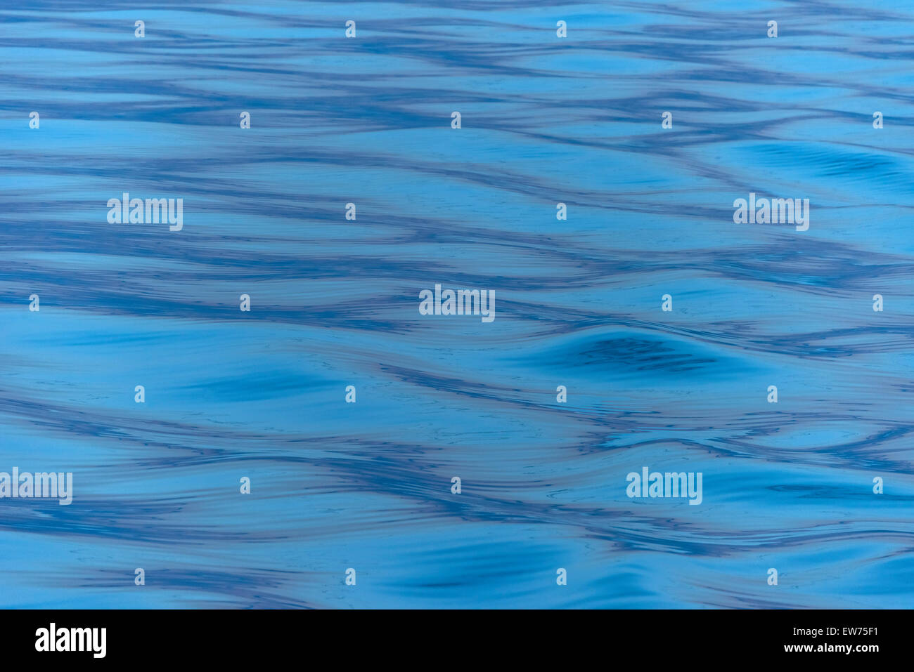 Waves in the evening light, sea, Denmark Strait, Greenland Stock Photo ...