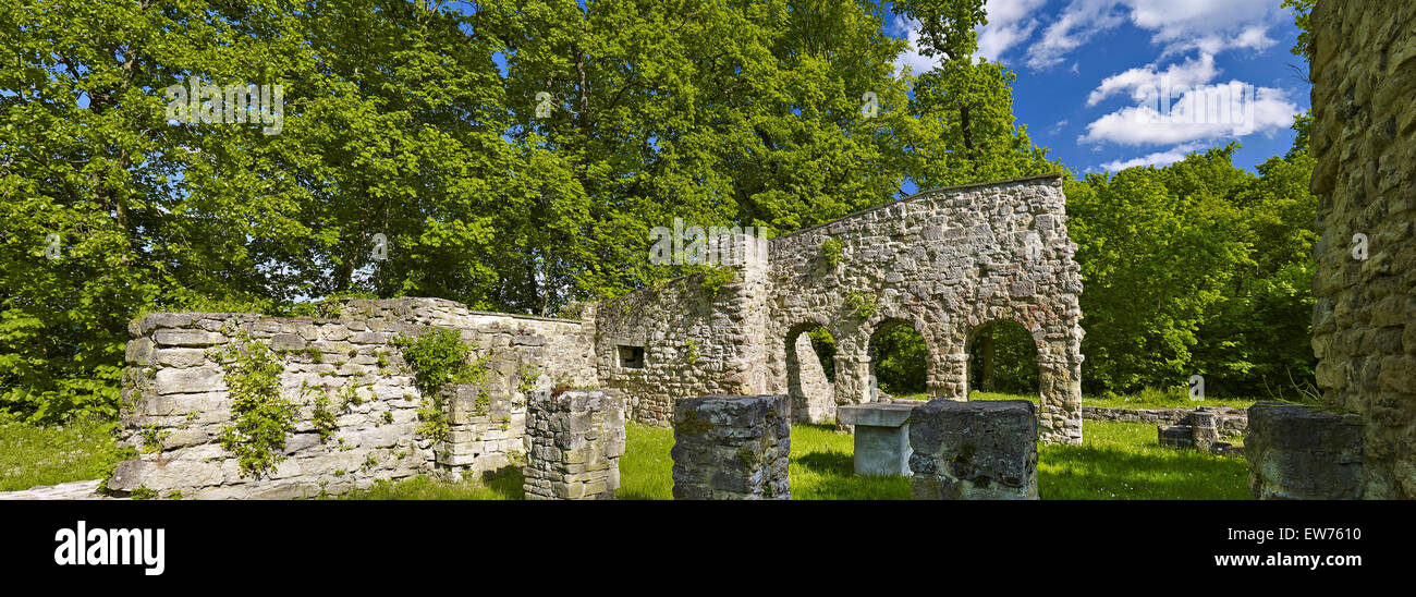 Church ruin St. Cyriacus near Camburg, Germany Stock Photo - Alamy