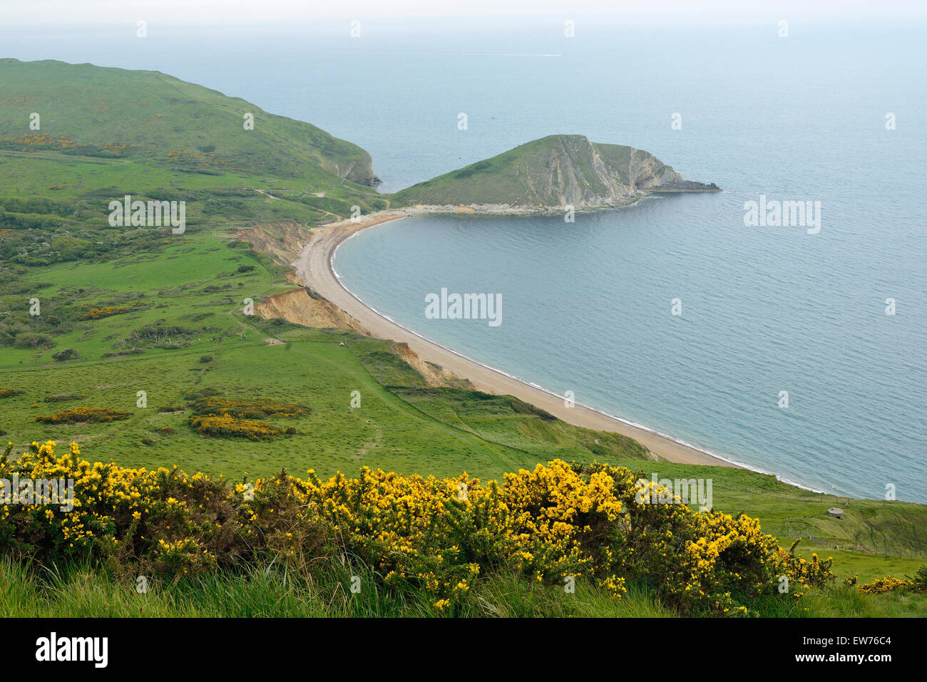 Worbarrow Bay & Worbarrow Tout viewed from Flowers Barrow, Dorset Stock ...